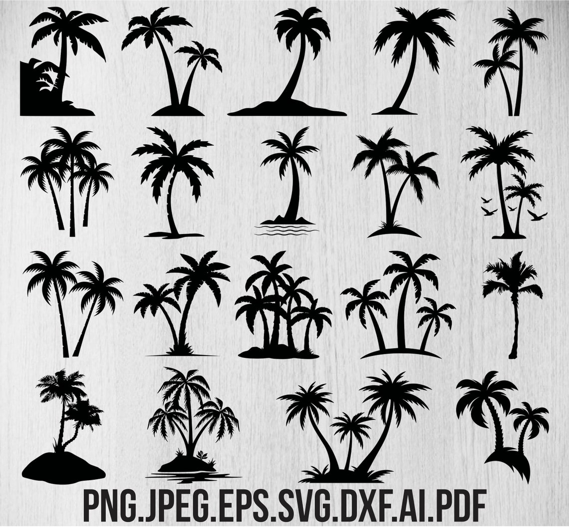 Palm Tree SVG Bundle Palm Tree PNG Bundle Palm Tree Clipart Palm Tree ...