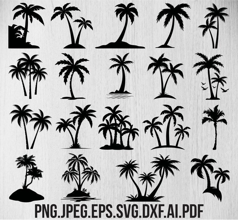 Palm Tree SVG Bundle Palm Tree PNG Bundle Palm Tree Clipart Palm Tree ...
