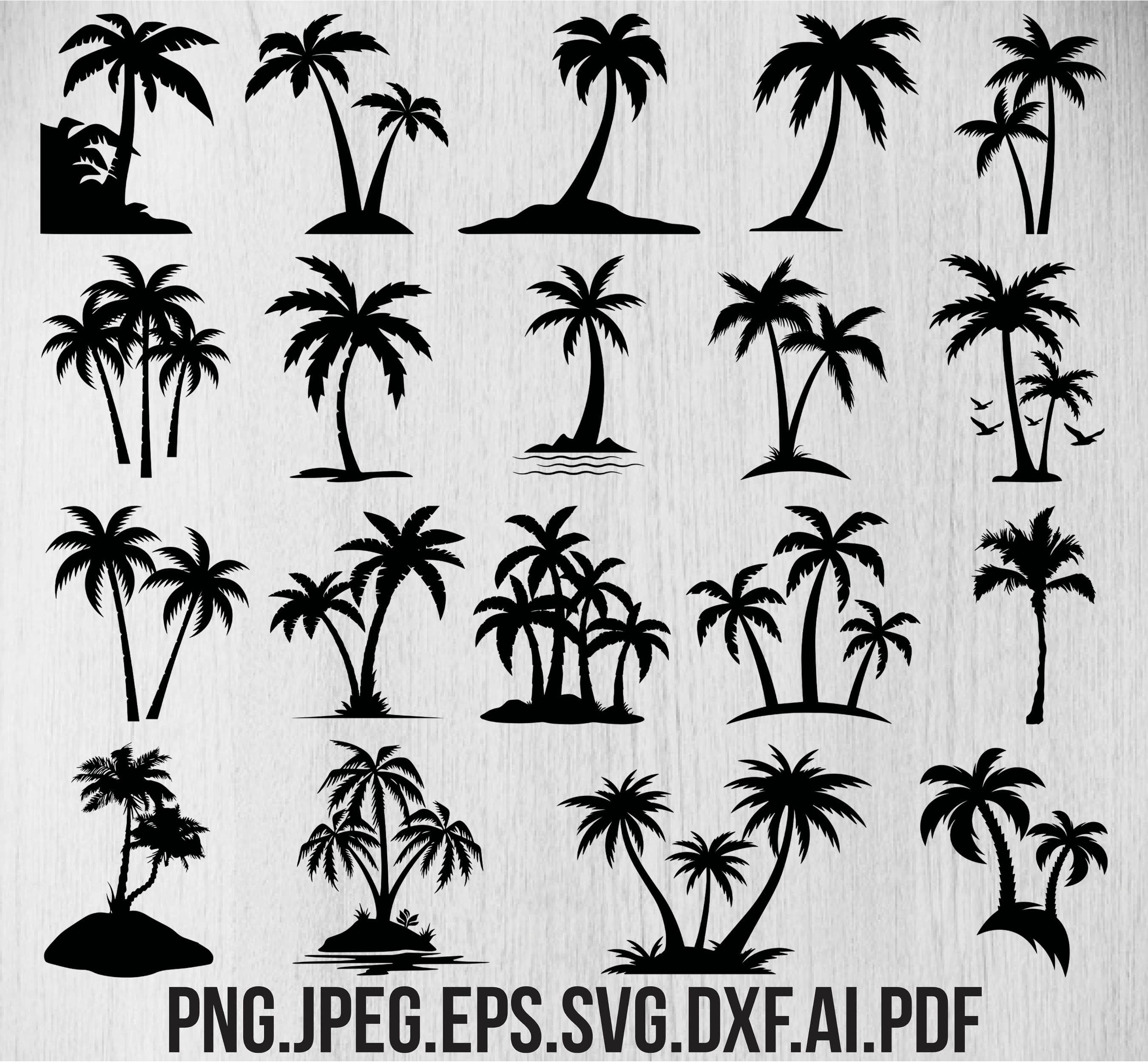 Palm Tree SVG Bundle Palm Tree PNG Bundle Palm Tree Clipart Palm Tree ...