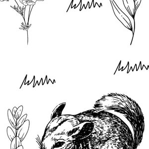 Little Creatures Coloring Book Pages -- Digital Download - Etsy