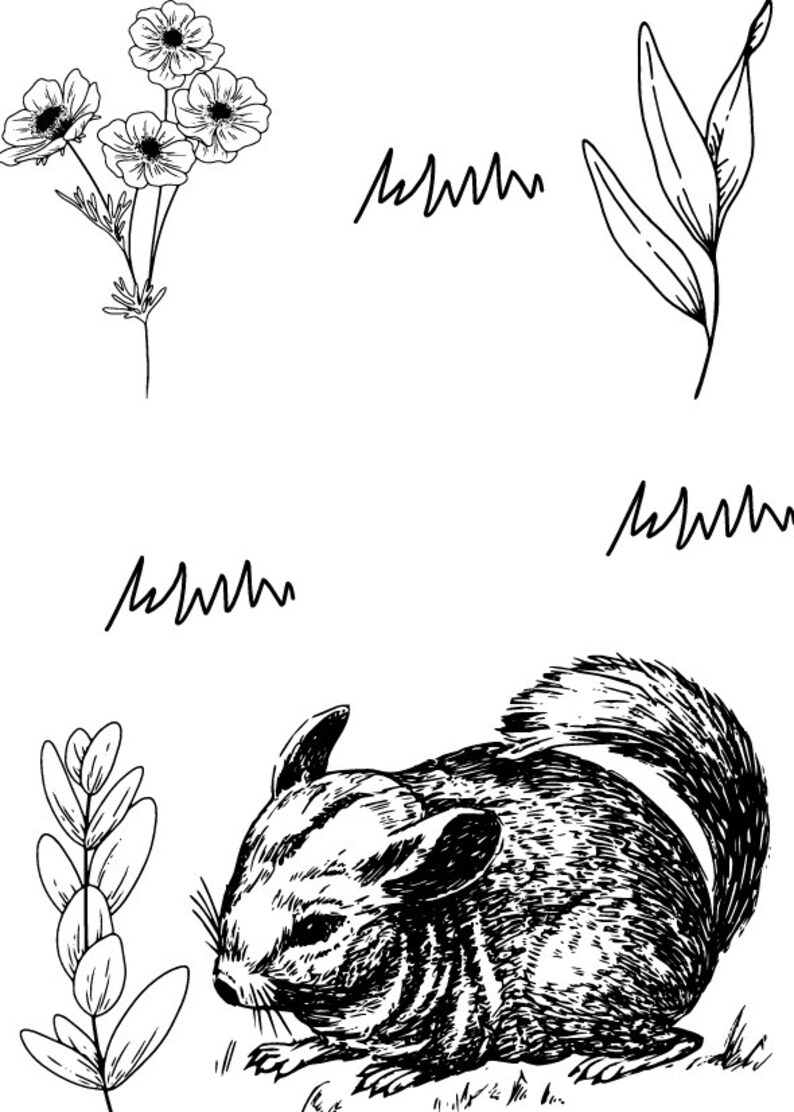 Little Creatures Coloring Book Pages -- Digital Download - Etsy