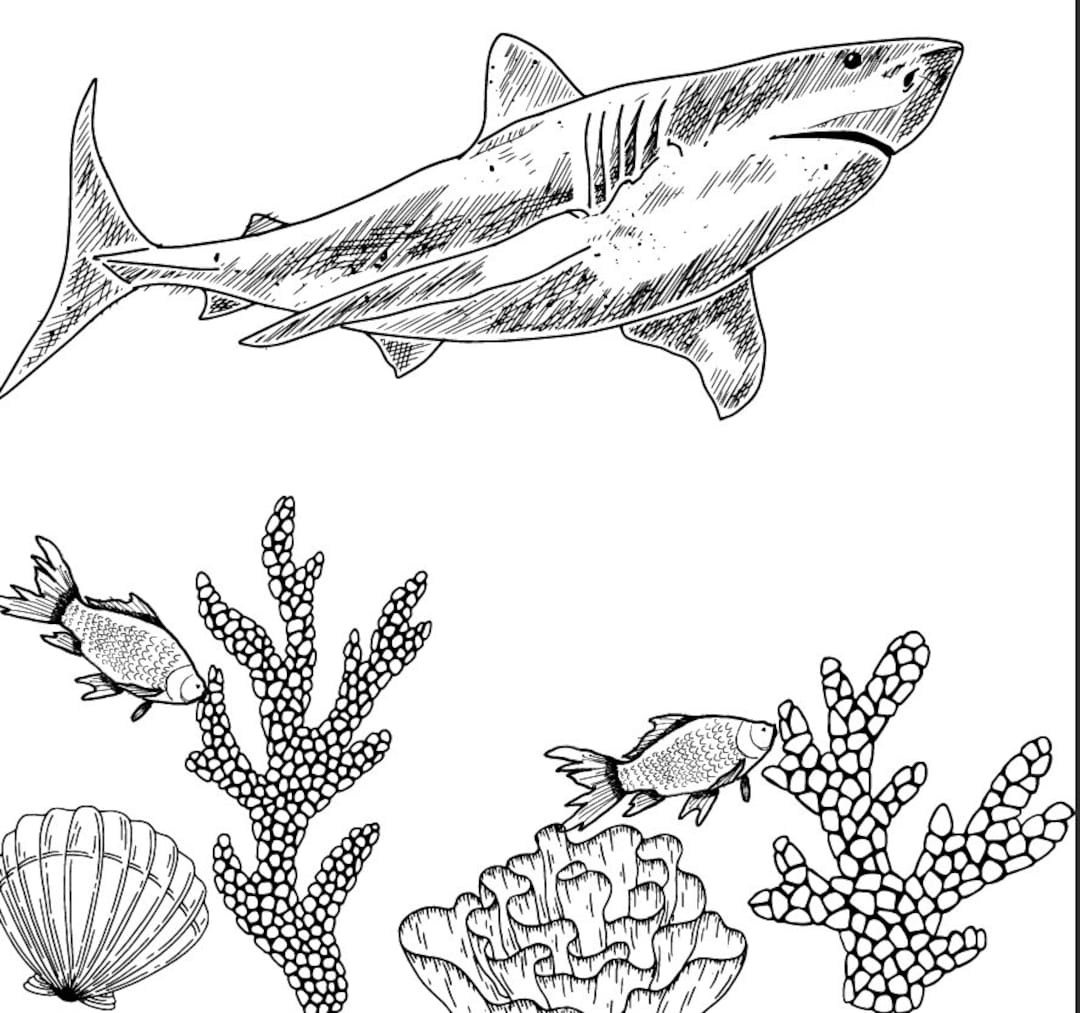 Ocean Animal Coloring Book Pages--digital Download - Etsy