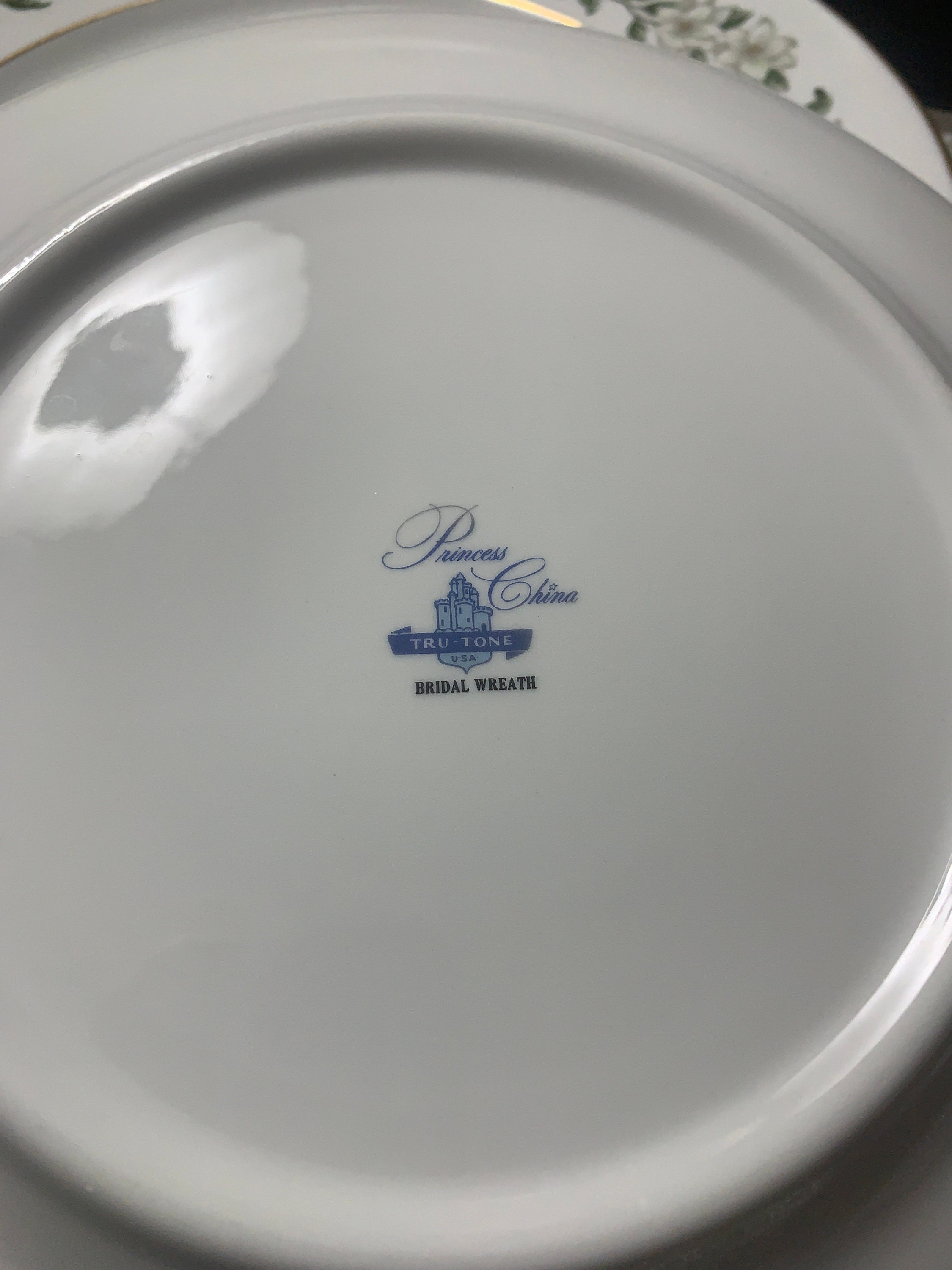 Princess China Tru-tone Bridal Wreath Fine China by Empcraft 10 3/8 ...