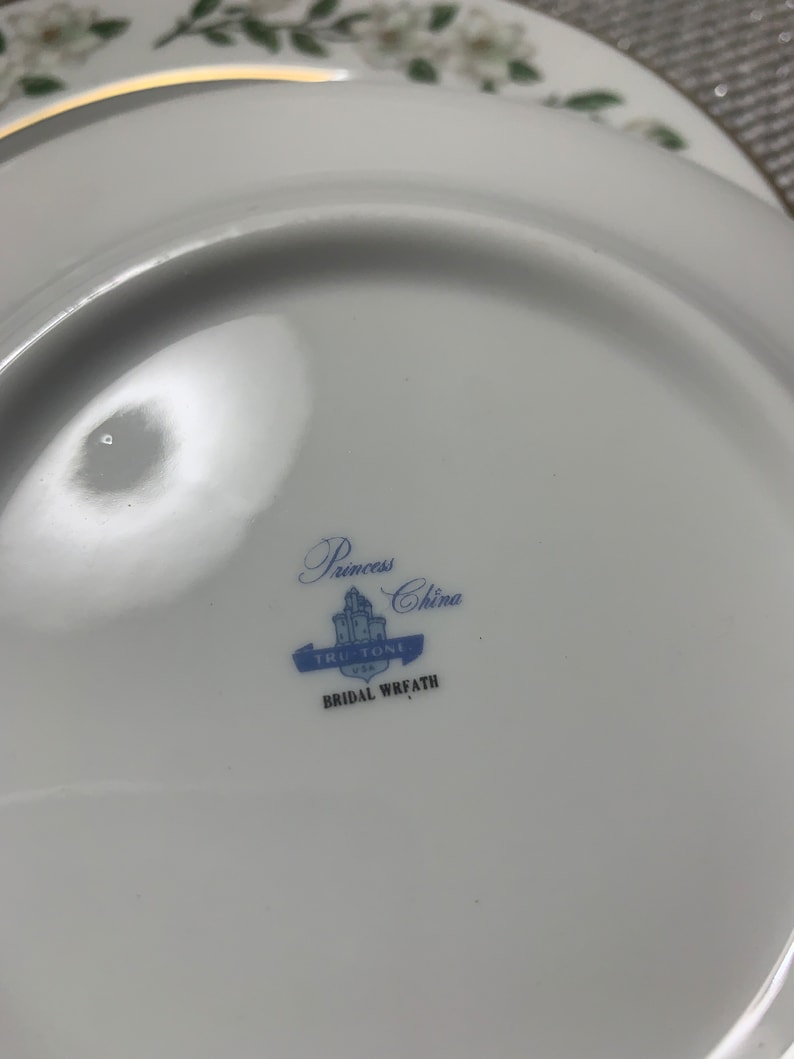 Vintage Princess China Tru-tone Bridal Wreath Fine China by Empcraft 8 ...