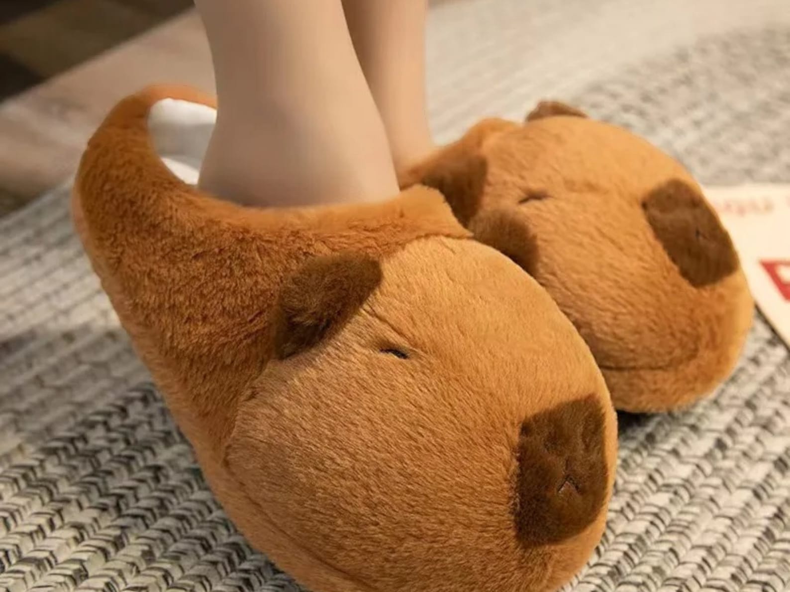 Cute Cartoon Capybara Cotton Slippers Half-wrap Heel, Soft and Non-slip ...