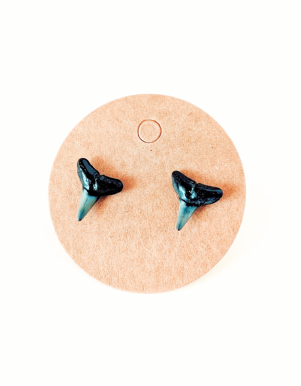 Shark Tooth Earring Studs Real Fossilized Shark Teeth - Etsy