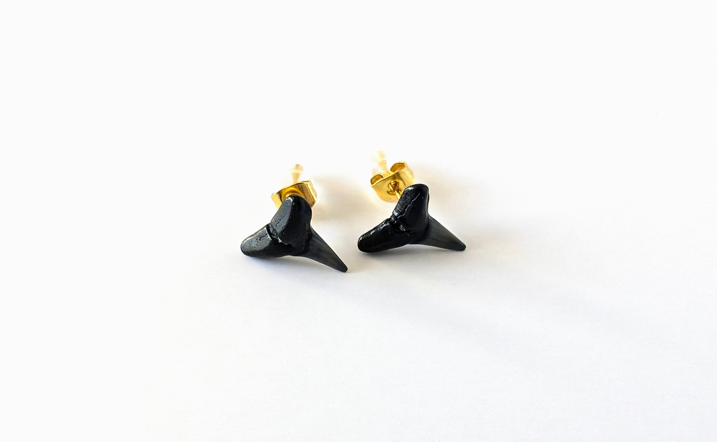 Shark Tooth Earring Studs Real Fossilized Shark Teeth - Etsy