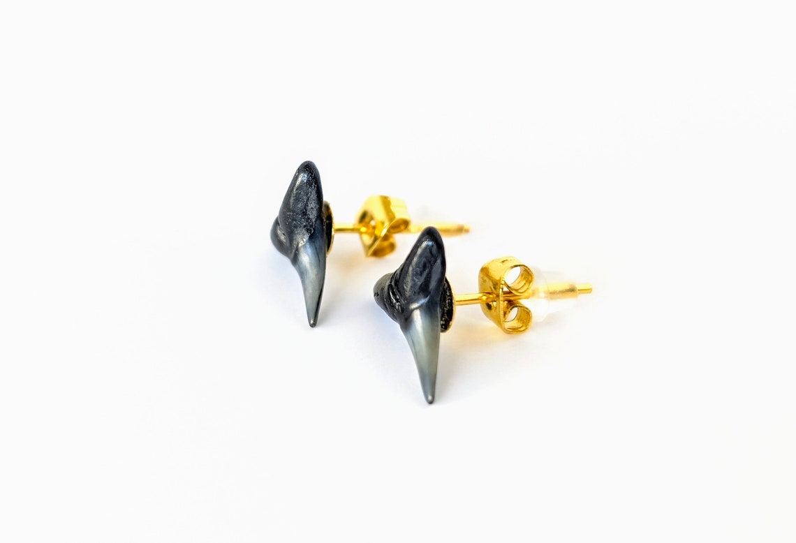 Shark Tooth Earring Studs Real Fossilized Shark Teeth - Etsy