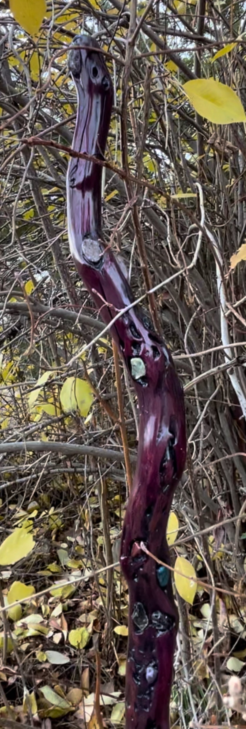 Royal Enchantment - Sacred Wizard Staff With Embedded Stones, Moldavite ...