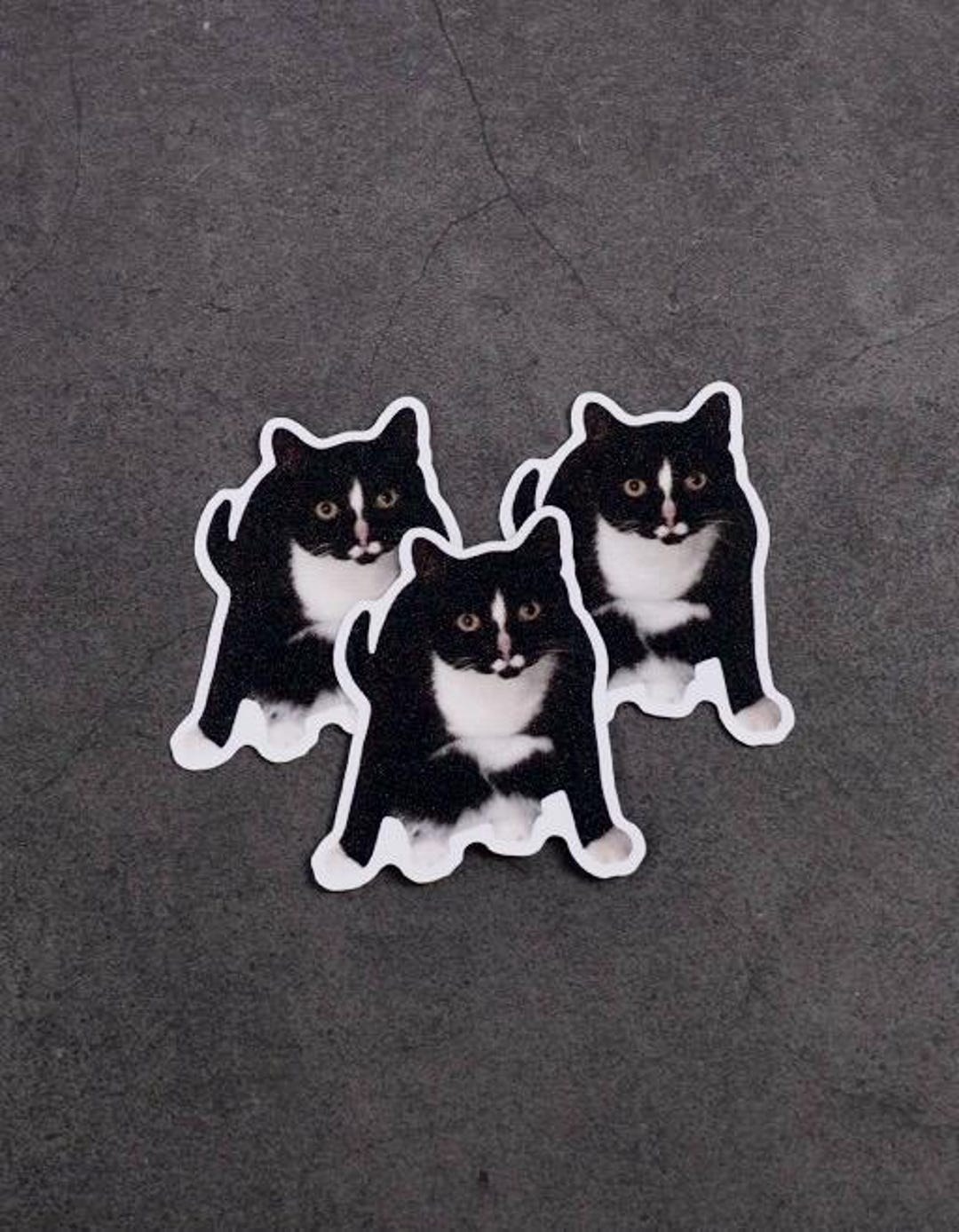 Derpy Sitting Tokyo Cat - Sticker 2”5 - Etsy