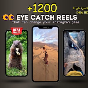 1200+ Eye-catching Reels Bundle, Instagram Reels - Tiktok, Youtube ...