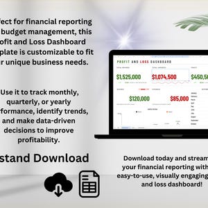 Profit and Loss Dashboard Template Editable, Google Sheets, Digital Download, Track Business ...