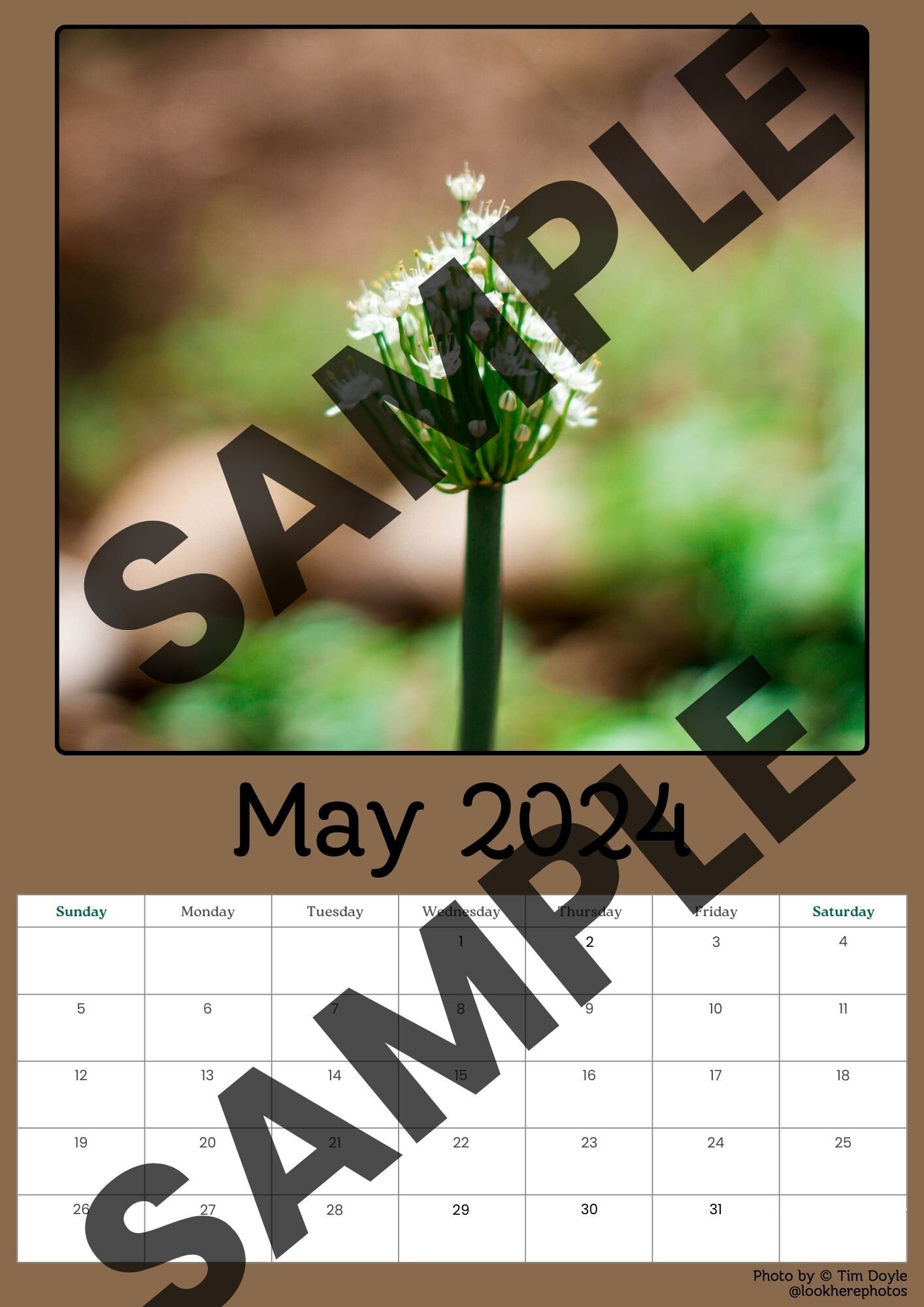 2024 Calendar With Photos and Space for Notes - Etsy