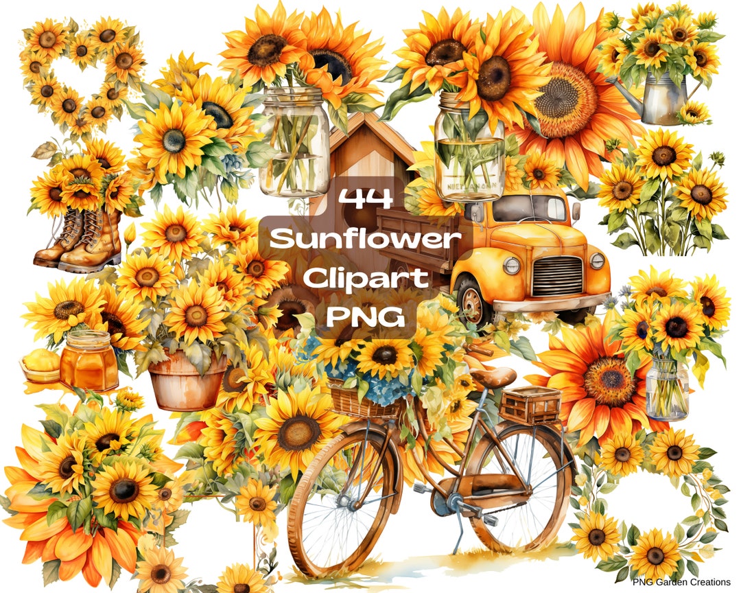44 PNG Sunflower Clipart Images in High-resolution | 300 Dpi ...
