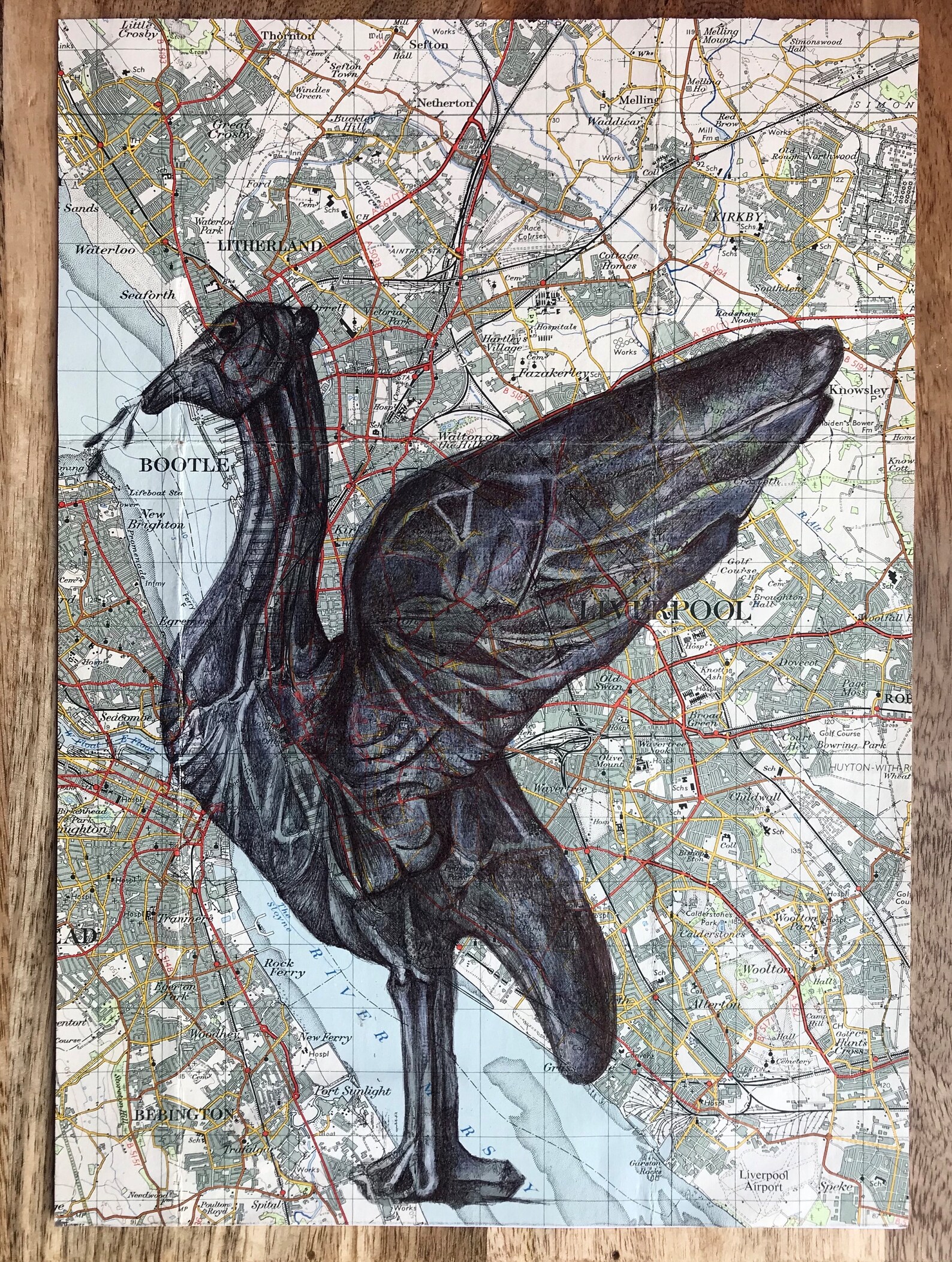 Liver Bird Art Print. Pen Drawing Over Map of Liverpool . A4 Unframed ...