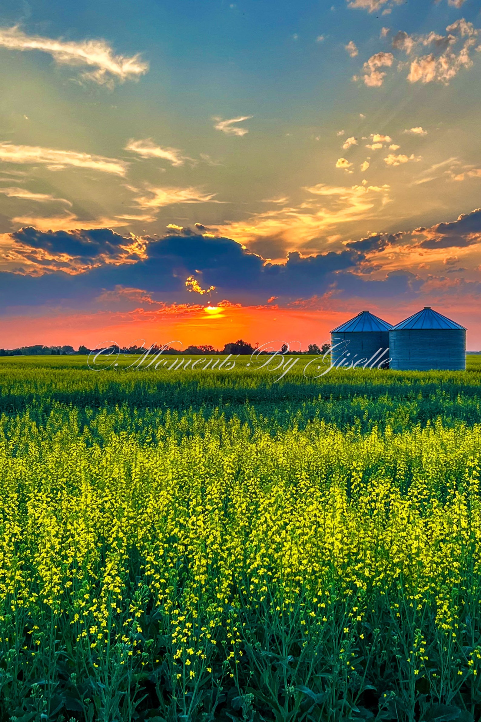 My Favorite Colors - Etsy