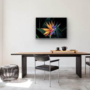 Tropical Paradise: Captivating Bird of Paradise Bloom watermarks Are ...