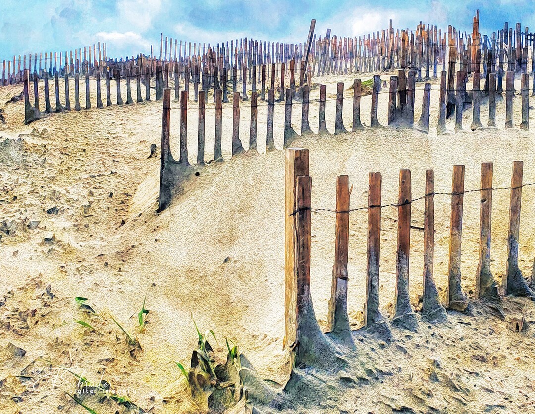 Dune Fences | Sandy Beach Ecosystem | Beautiful Watercolor Ocean Scene ...