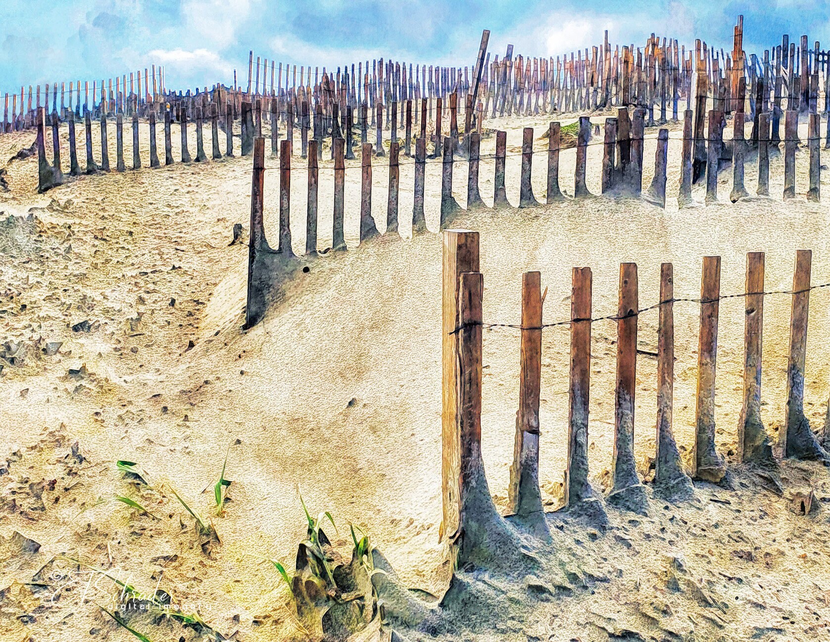Dune Fences | Sandy Beach Ecosystem | Beautiful Watercolor Ocean Scene ...