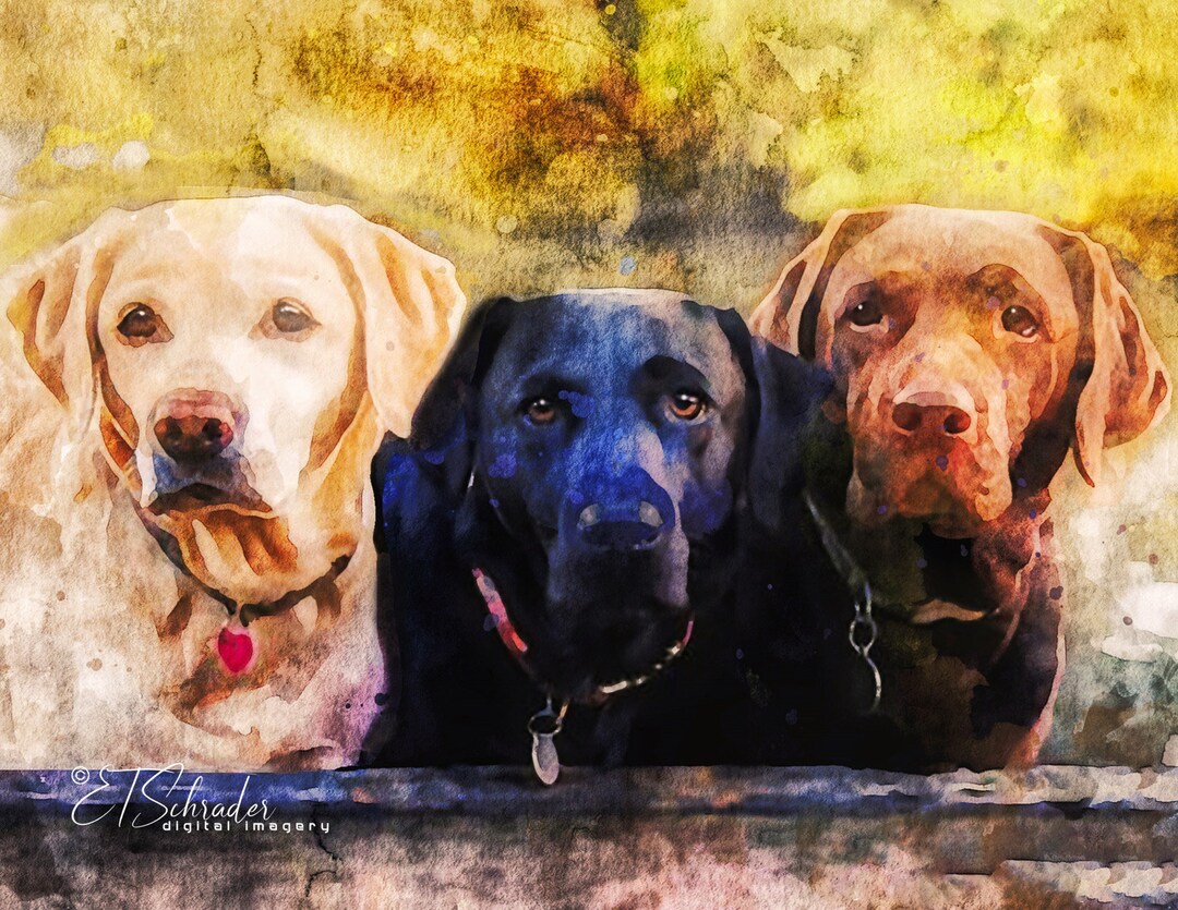 TRES LABRADORES | 3 LABRADOR Retrievers | Beautiful Watercolor Canines ...