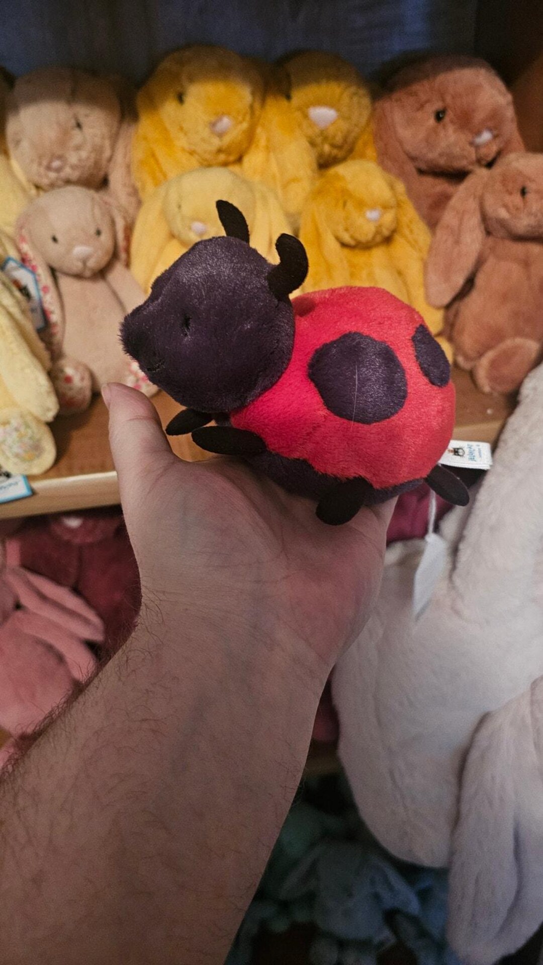 Jellycat Layla Ladybird Ladybug Small Stuffed Bug Plush 5.5" Nwt - Etsy