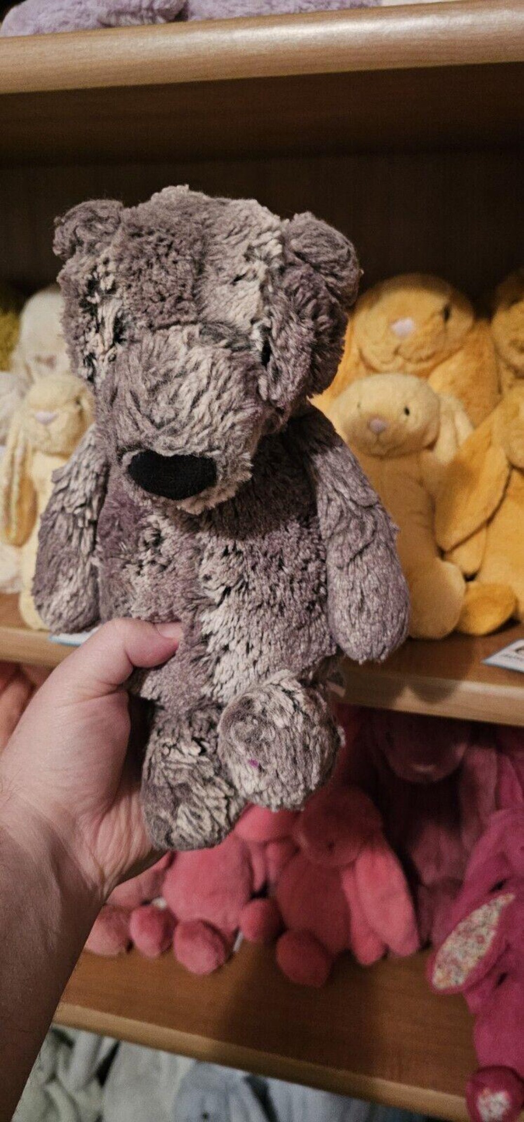 Jellycat Bear Brown Plush Bramble Bashful Cuddle Teddy Stuffed Animal - Etsy