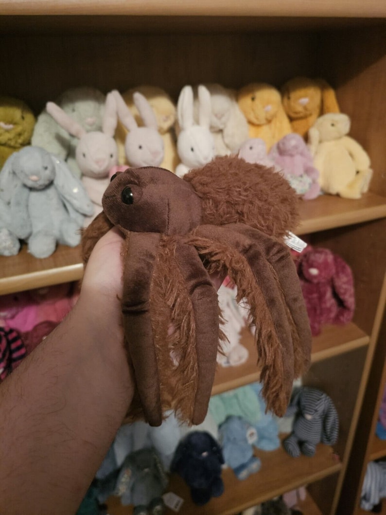 Jellycat Small Spindleshanks Spider Plush Tarantula Stuffed Toy 14 NEW ...