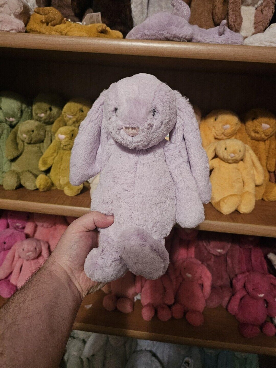 Jellycat Original Bashful Lilac Bunny Med NWT Rare HTF - Etsy