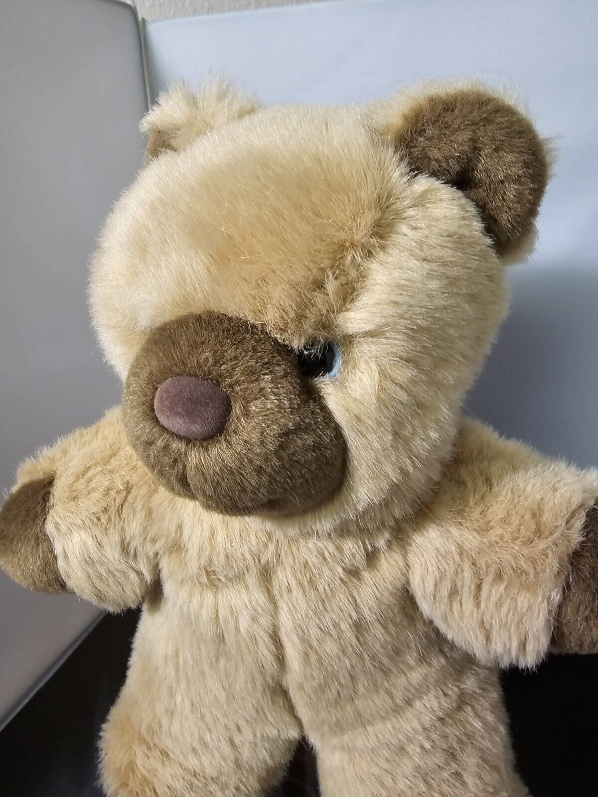 Smoky mountain stuffed bear store