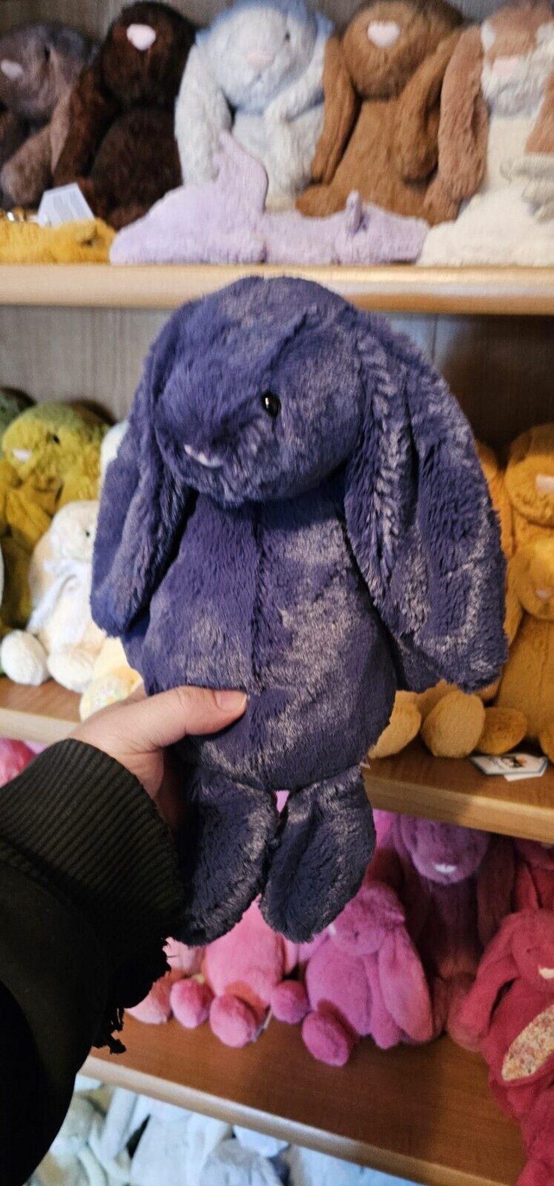 Jellycat Medium Bashful Navy Bunny HTF Sold Out NWT - Etsy