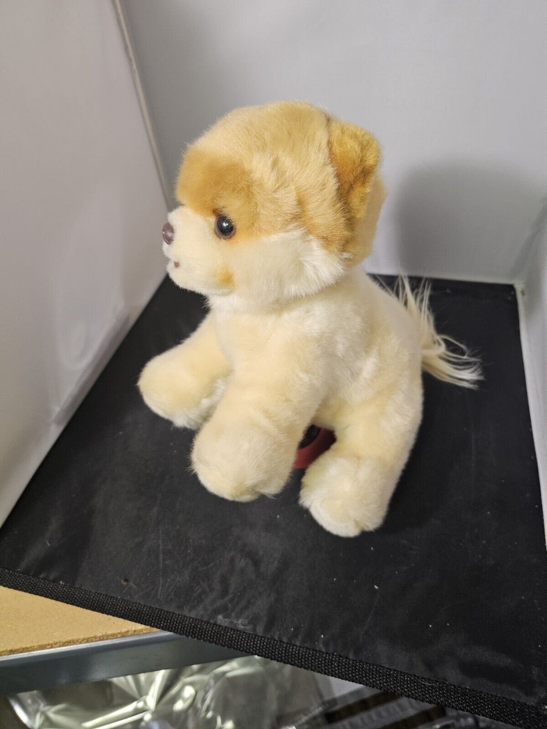 Boo the Worlds Cutest Dog Plush Stuffed GUND 9 Pomeranian P1 - Etsy