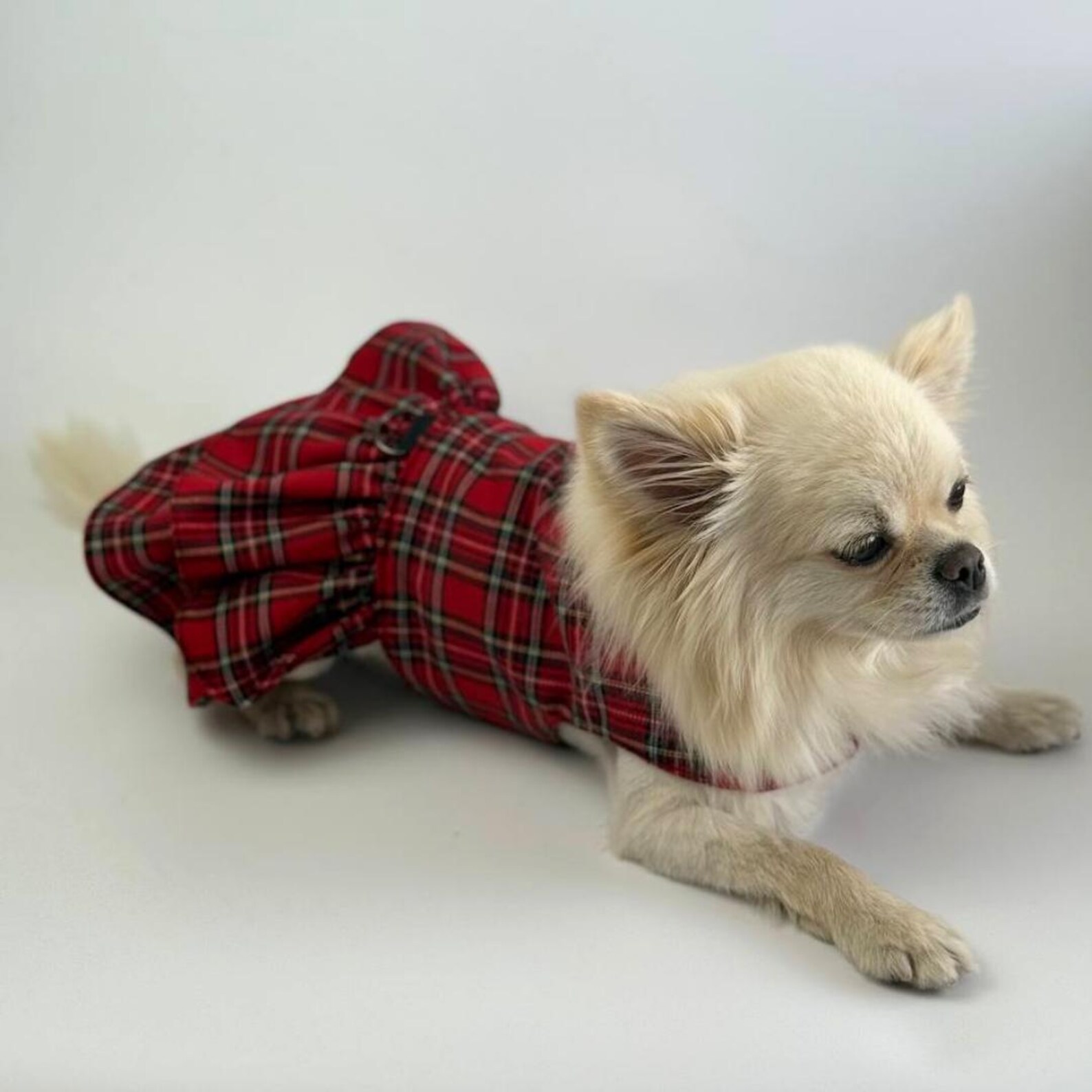 Plaid Dog Dress With Ruffles: Red Tartan Pet Outfit - Etsy