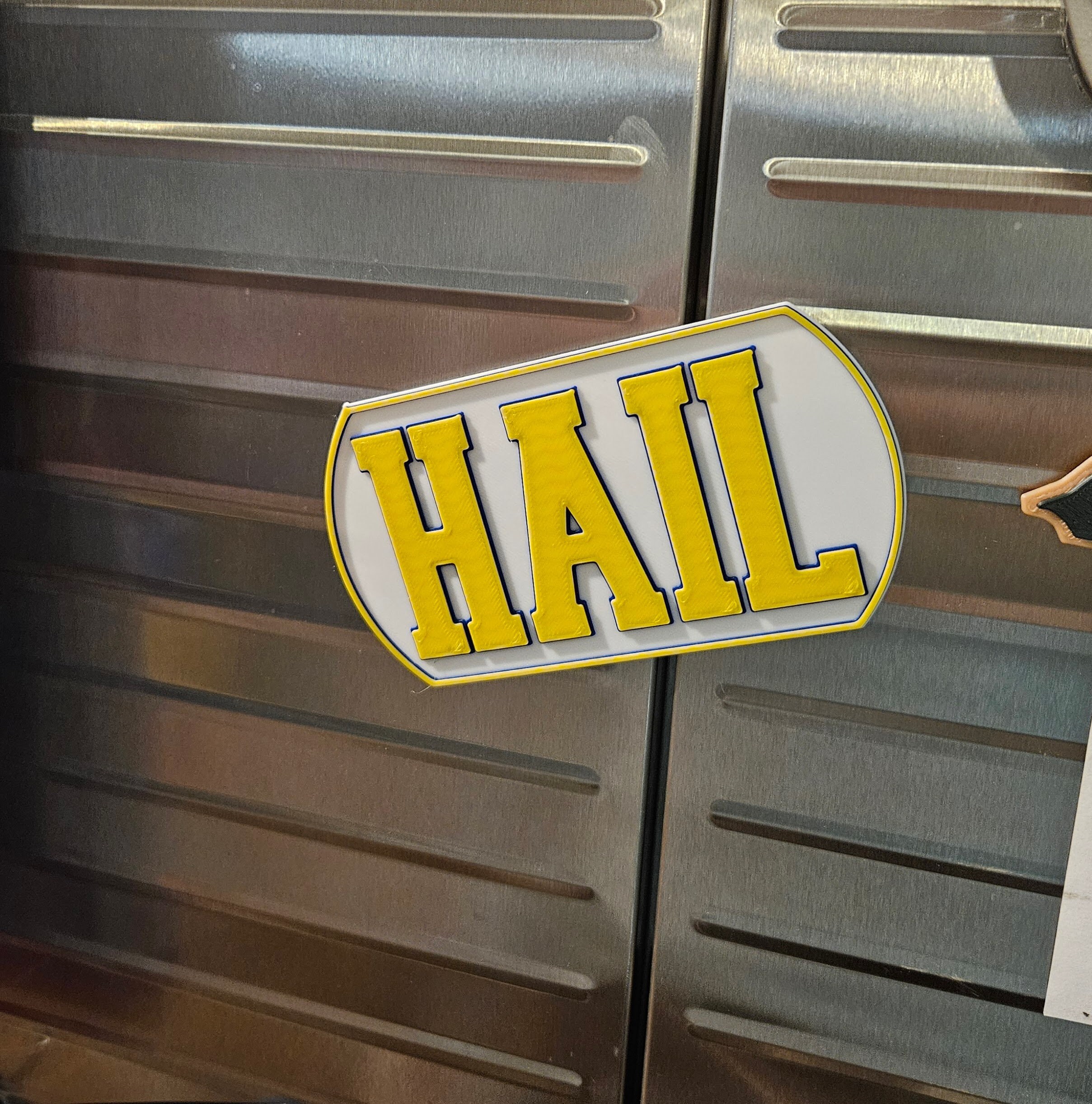 Michigan HAIL Refrigerator Magnet GO BLUE - Etsy