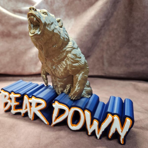Bear Down - Etsy