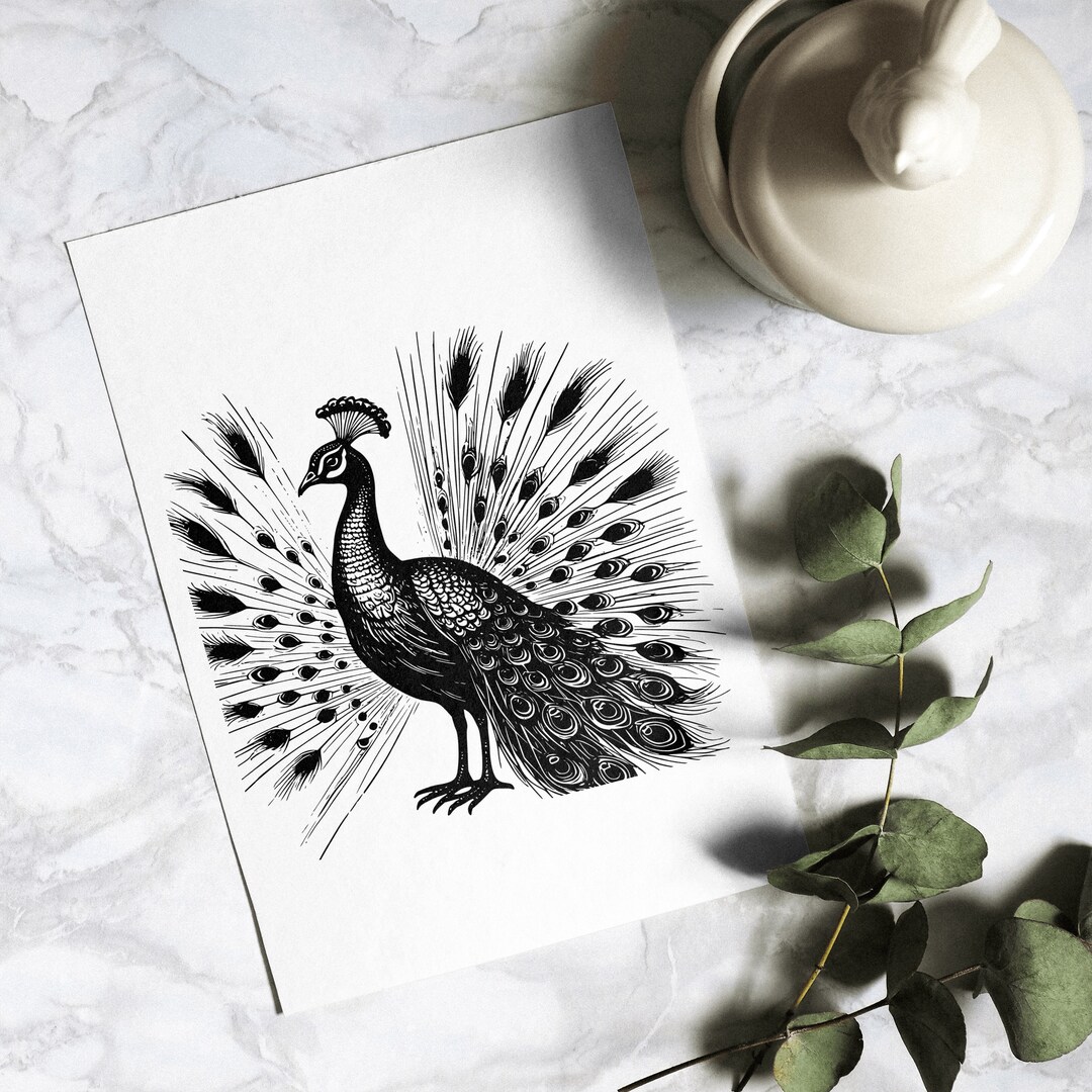 Peacock Side View Vector Design (SVG, PNG, JPEG) - Etsy