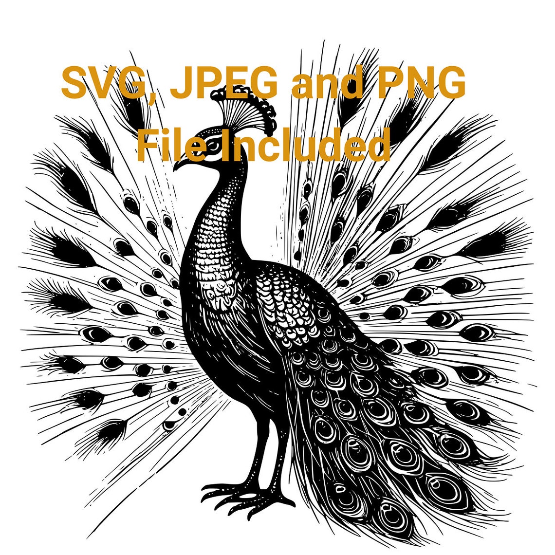 Peacock Side View Vector Design (SVG, PNG, JPEG) - Etsy