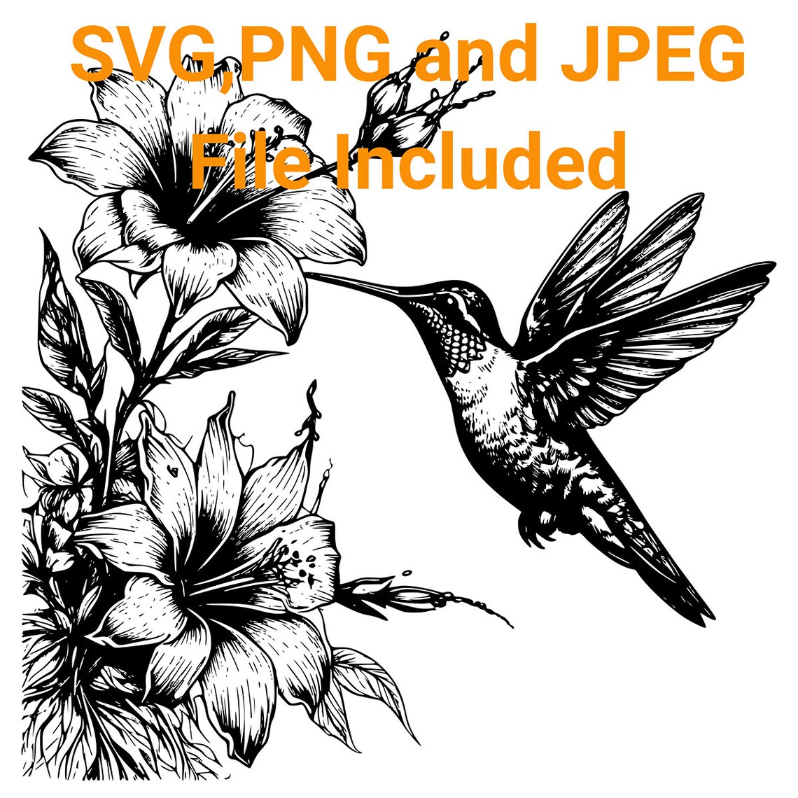 Hummingbird and Flower Vector: SVG, PNG, JPEG Files (digital Download ...