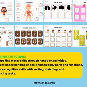 My Human Body Busy Book, Human Anatomy Activity, Organ Matching, Body ...