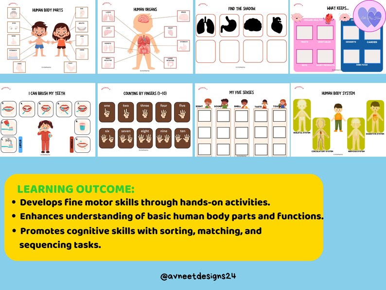 My Human Body Busy Book, Human Anatomy Activity, Organ Matching, Body ...