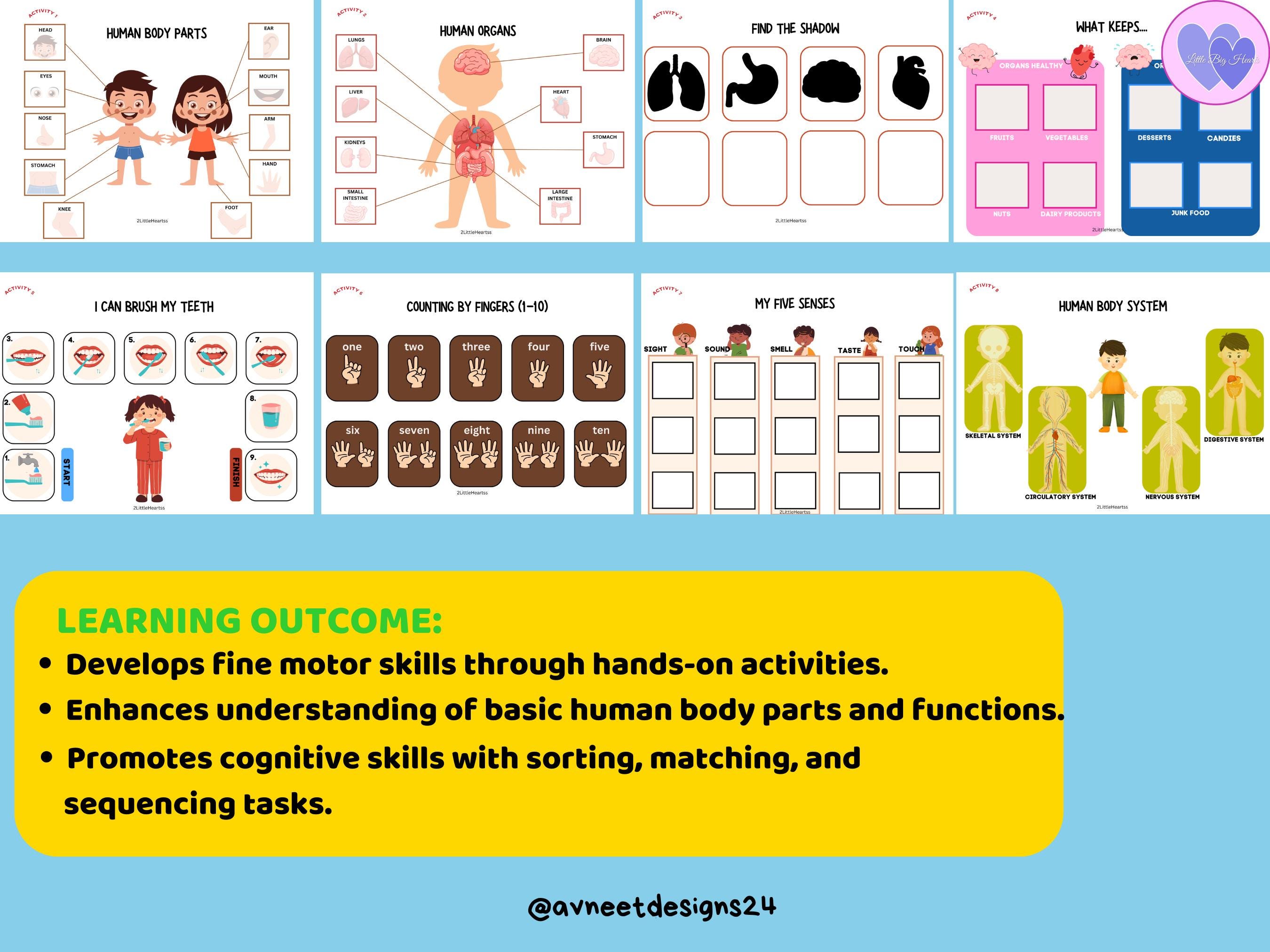 My Human Body Busy Book, Human Anatomy Activity, Organ Matching, Body ...