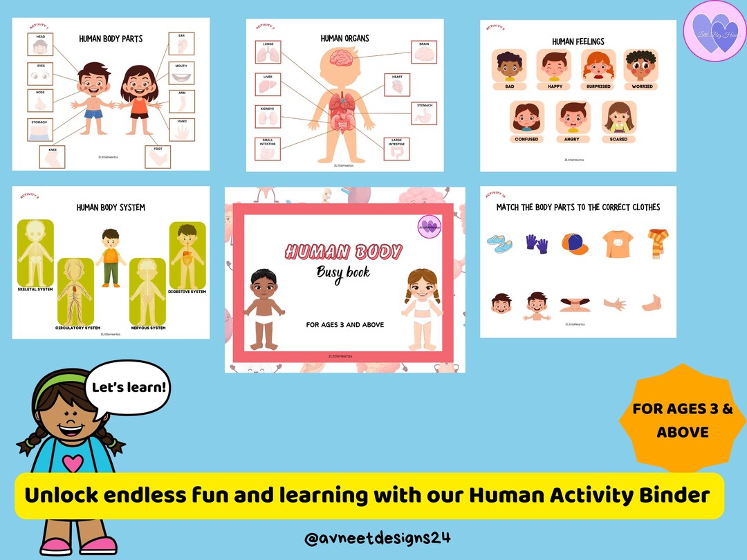 My Human Body Busy Book, Human Anatomy Activity, Organ Matching, Body ...