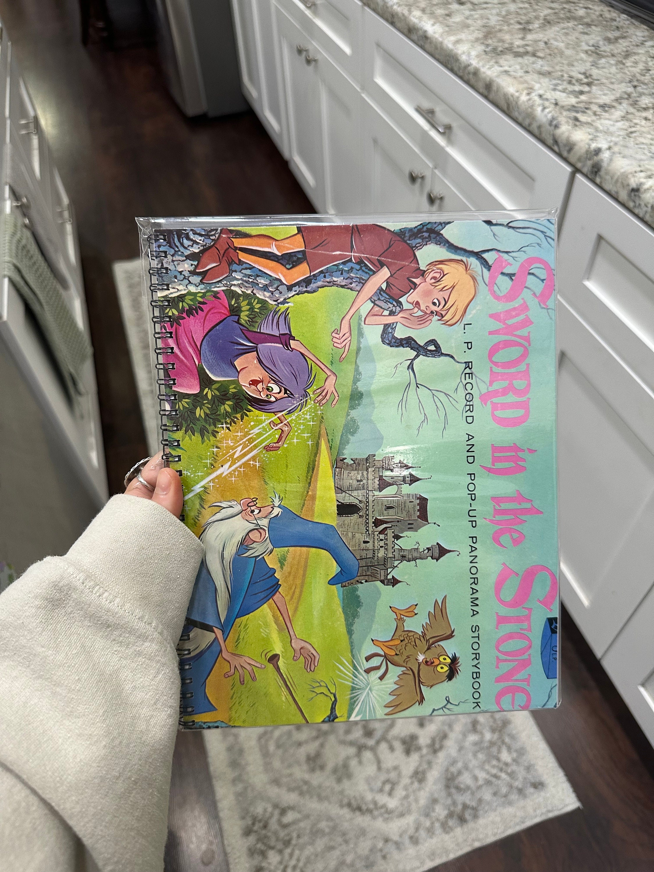 Vinyl Record Cover Notebook - Sword in the Stone - Etsy