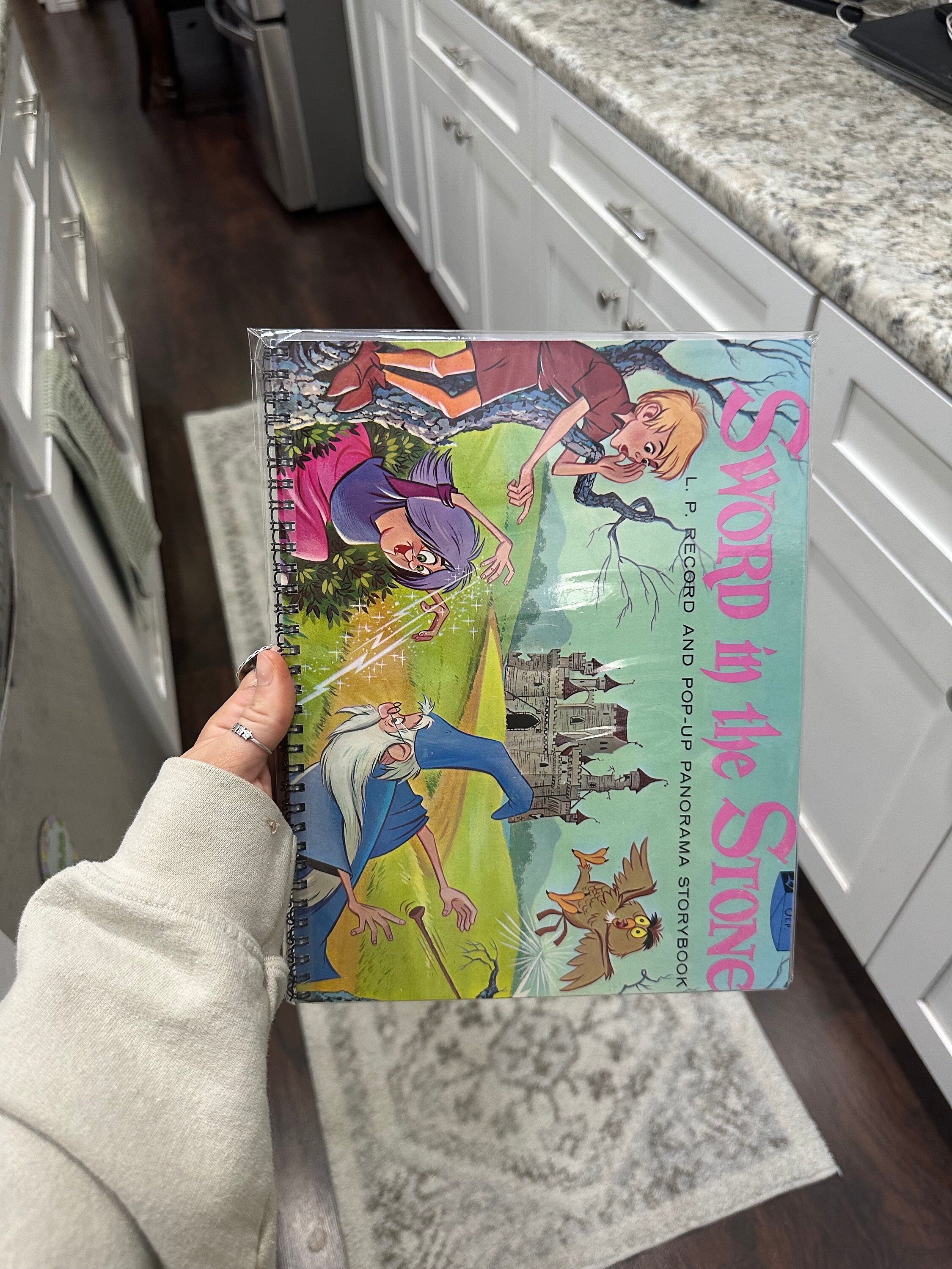 Vinyl Record Cover Notebook - Sword in the Stone - Etsy