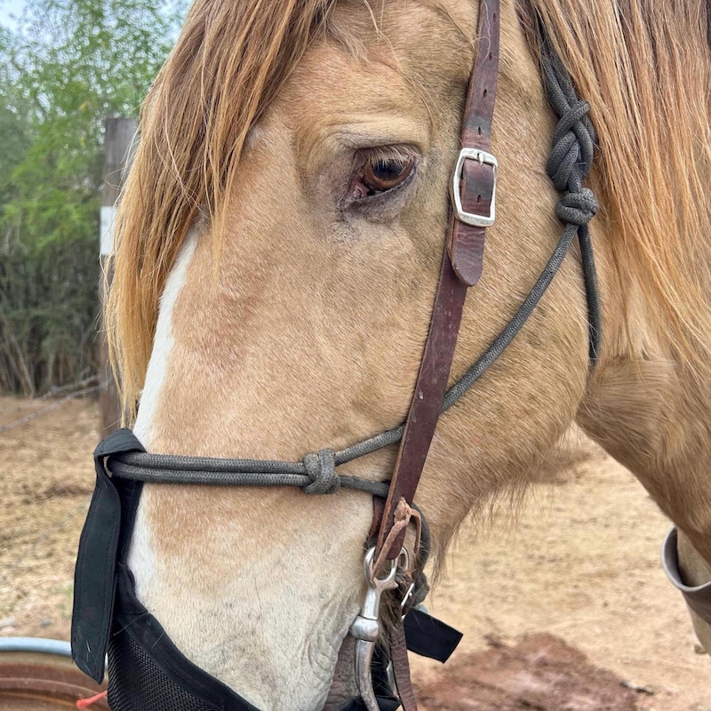 Eat and Bites - Etsy