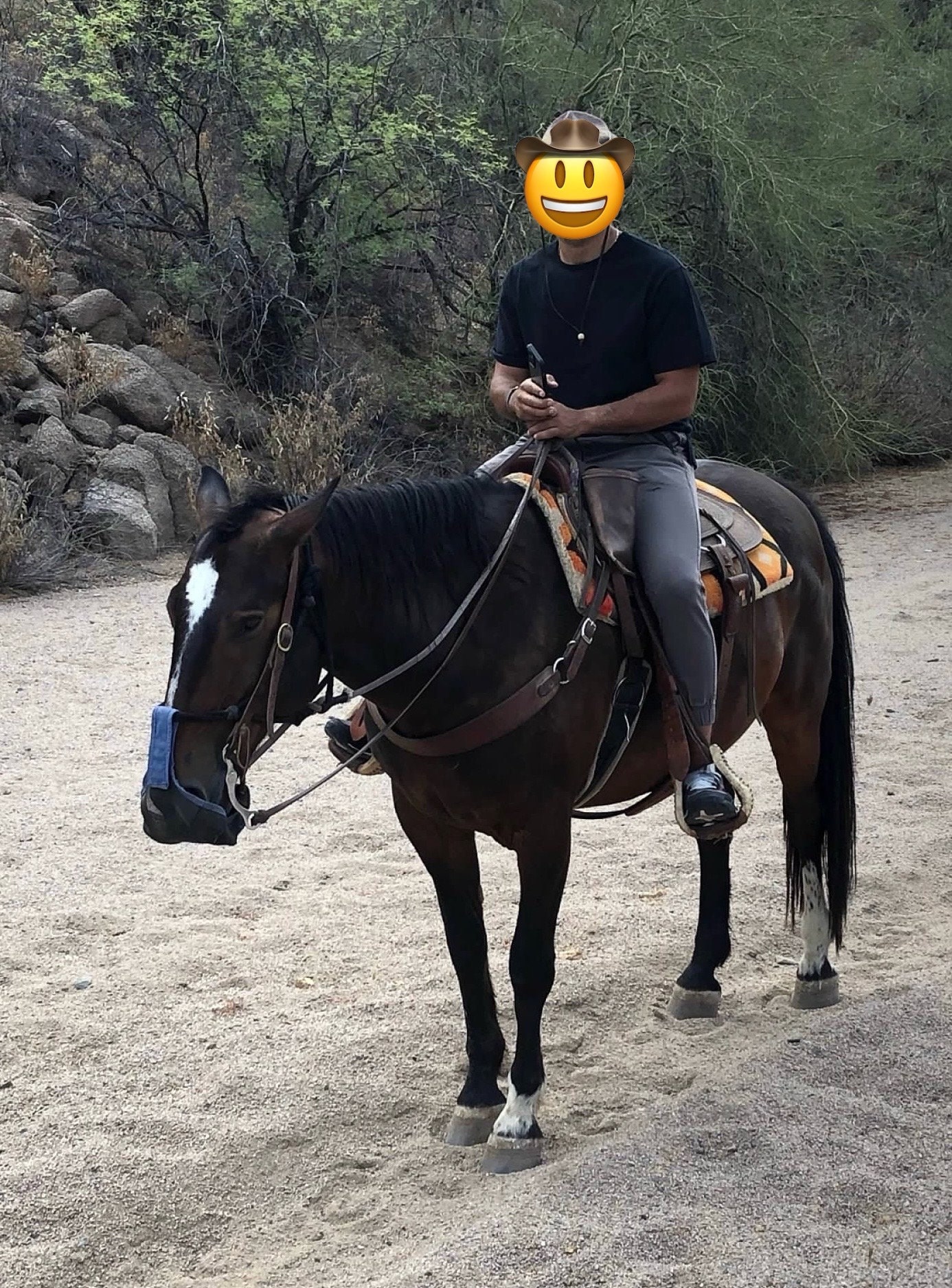 Horse Muzzle, Draft Horse Muzzle, No Eat Muzzle for Horse, No Bite ...