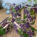 Libbey Violet Glass Tumblers Set of 4 - Etsy