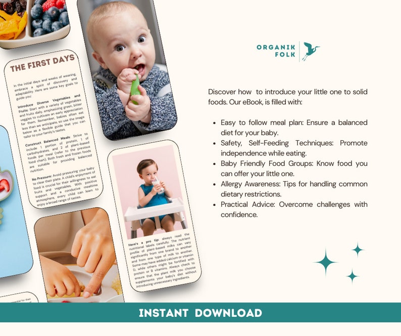 BLW: Baby-led Weaning, Parents Guide Book - Etsy