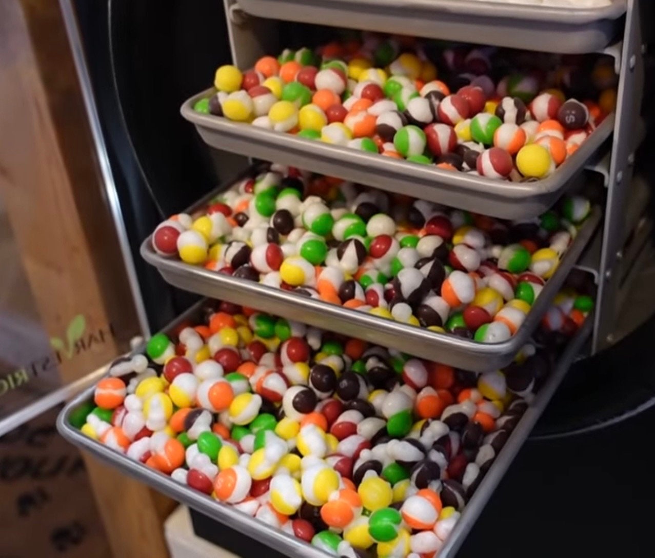 Rainbow Crunch Freeze Dried Candy - Etsy