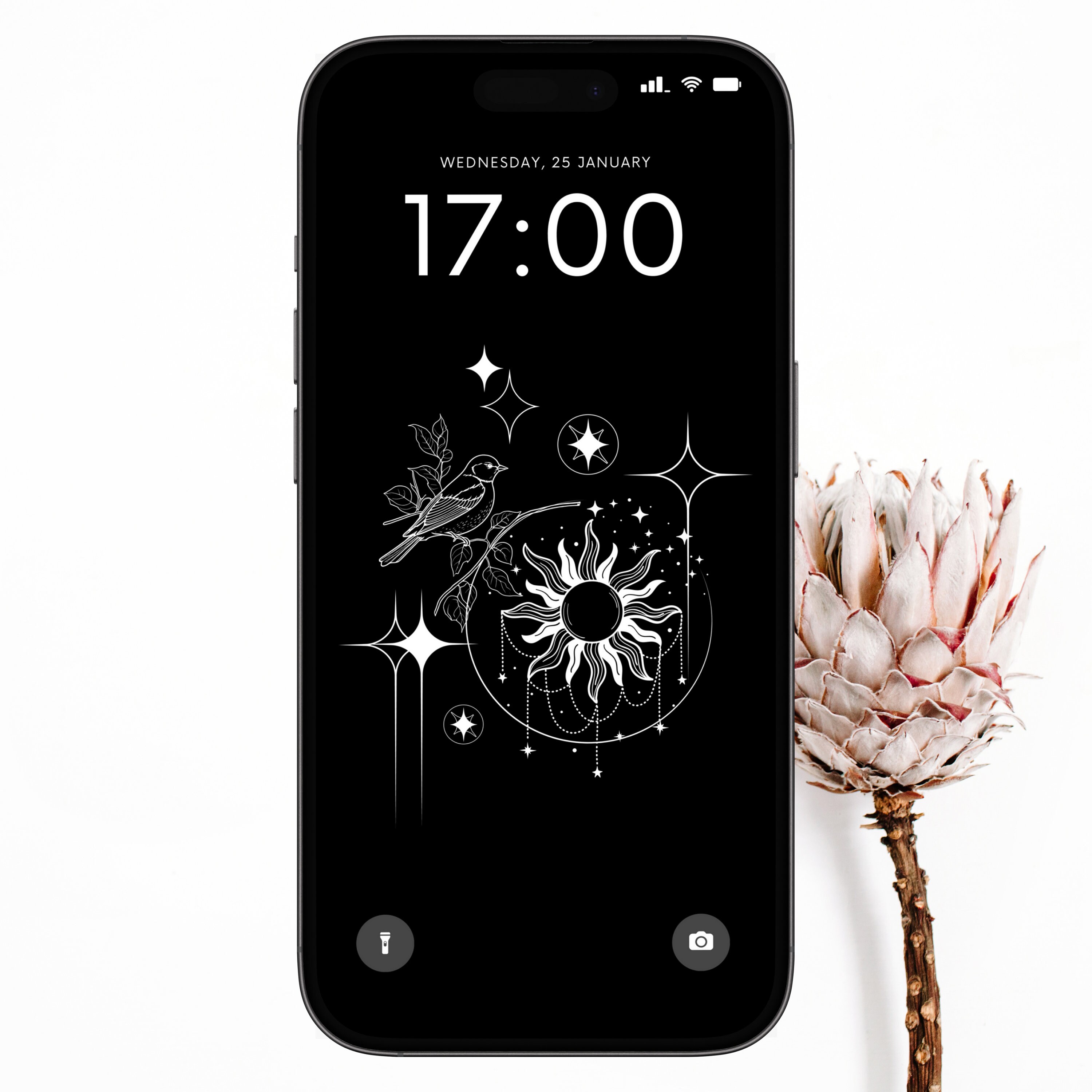 Dark Aesthetic Bird Line Art iPhone Wallpaper Minimalist Line Art ...