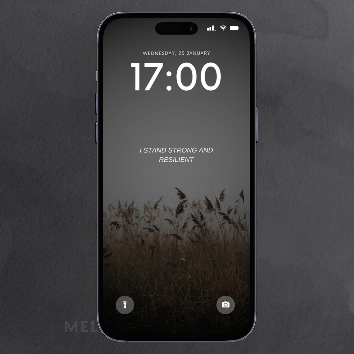 Motivational iPhone Wallpaper I Stand Strong and Resilient Empowering ...